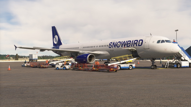 Fenix Simulations A321 Liveries for Microsoft Flight Simulator | MSFS