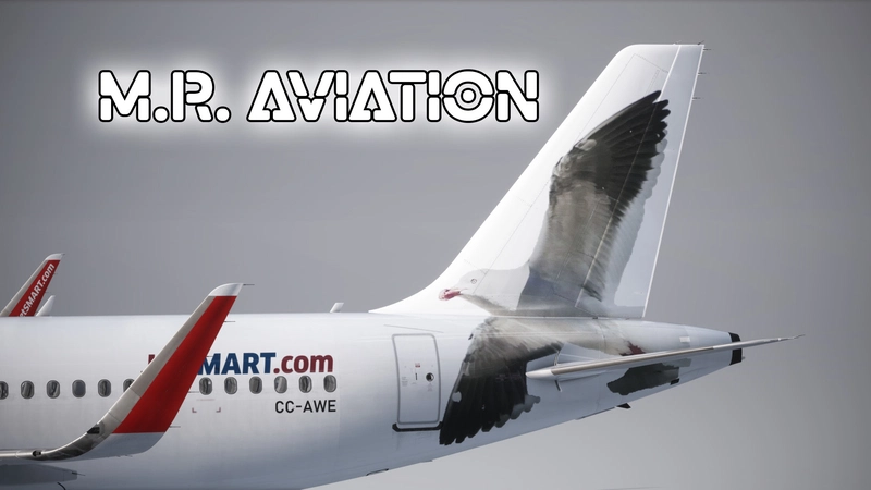 Liveries for Microsoft Flight Simulator | MSFS | Flightsim.to