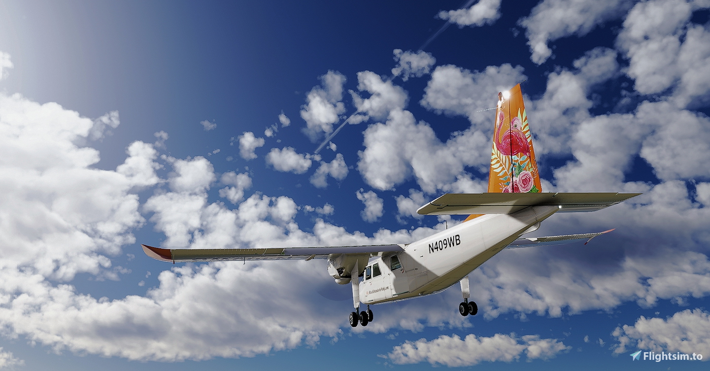 Flightsim Pictures Scott liveries for the Blackboxsimulation Aircraft ...
