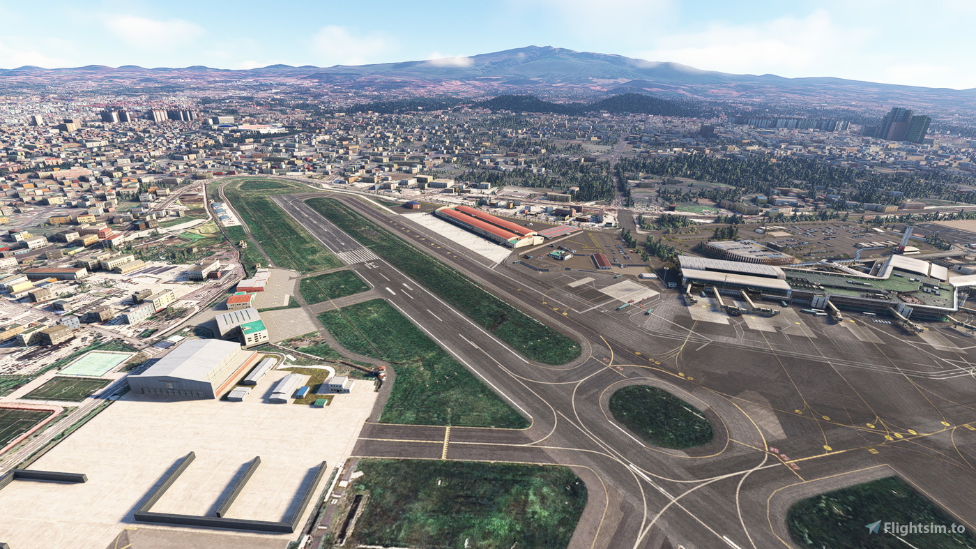 Fly2 Jeju RKPC Tree Fix MSFS2020 pour Microsoft Flight Simulator | MSFS