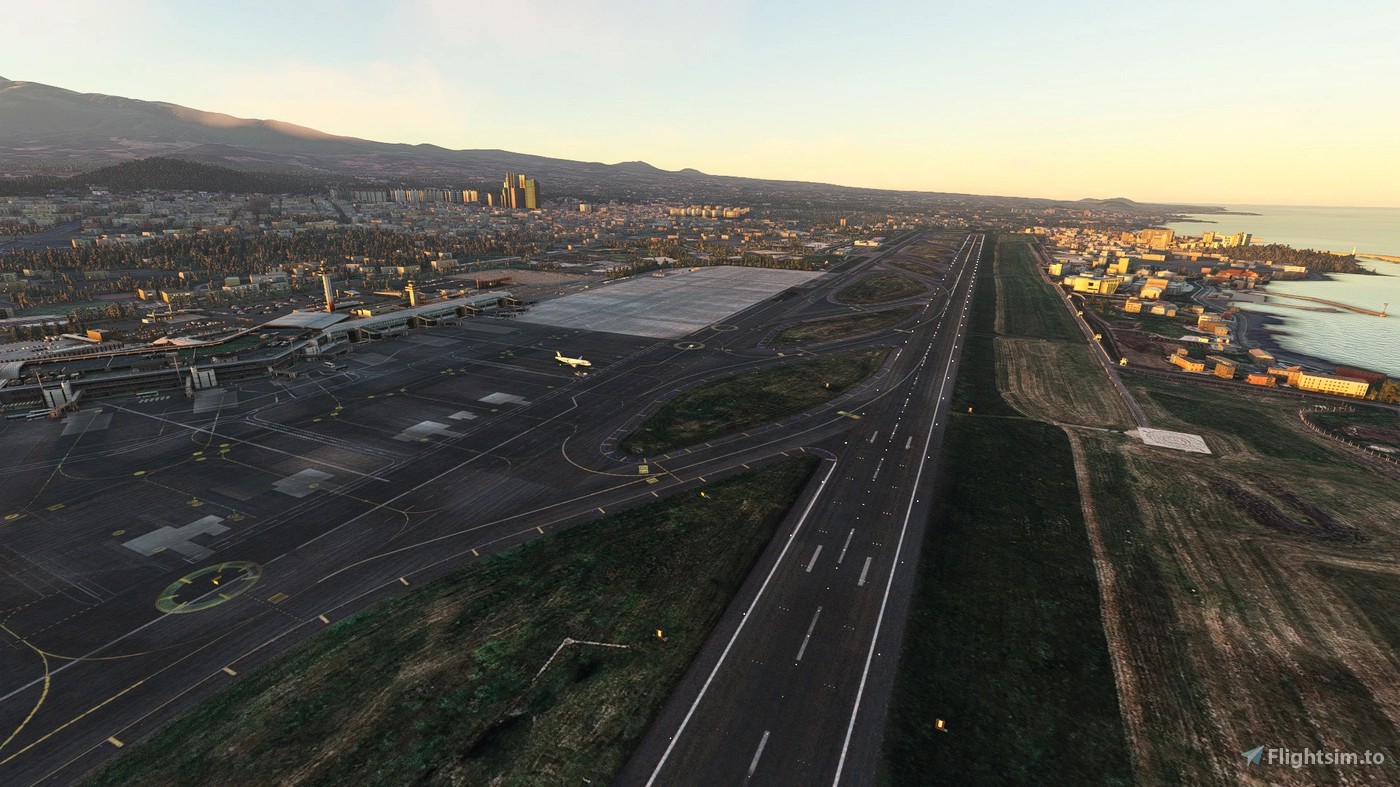 Fly2 Jeju RKPC Tree Fix MSFS2020 for Microsoft Flight Simulator | MSFS