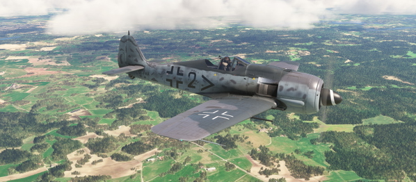 Focke Wulf FW190 JG54 Emil Lang for Microsoft Flight Simulator | MSFS