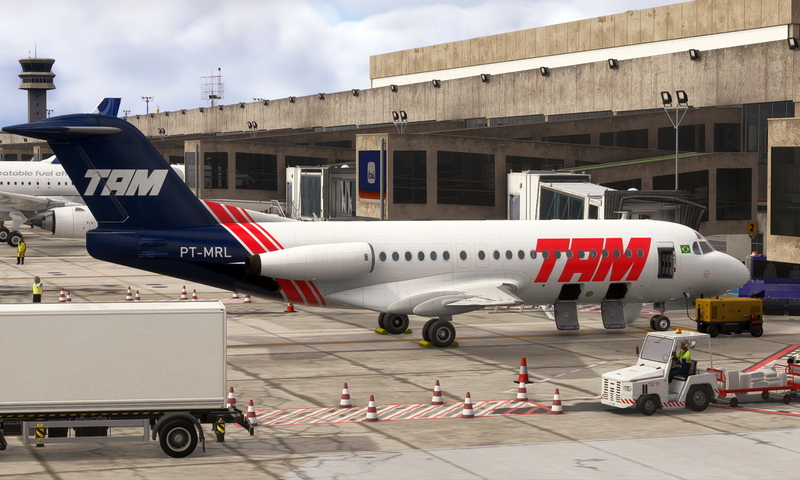 Fokker F28 Professional Liveries for Microsoft Flight Simulator | MSFS