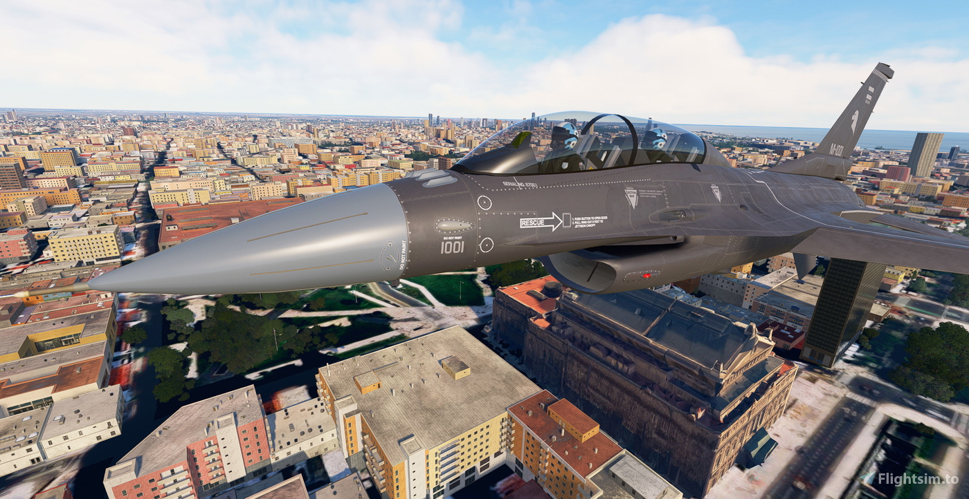 Fuerza Aérea Argentina FAA M-1001 für Microsoft Flight Simulator | MSFS