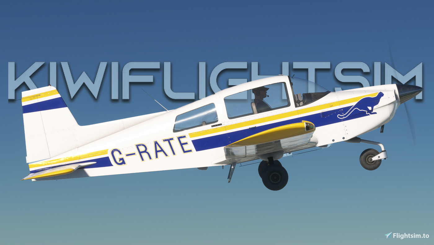 G-RATE (Static / Dynamic Rego) | BRSimDesigns Grumman American AA–5B ...
