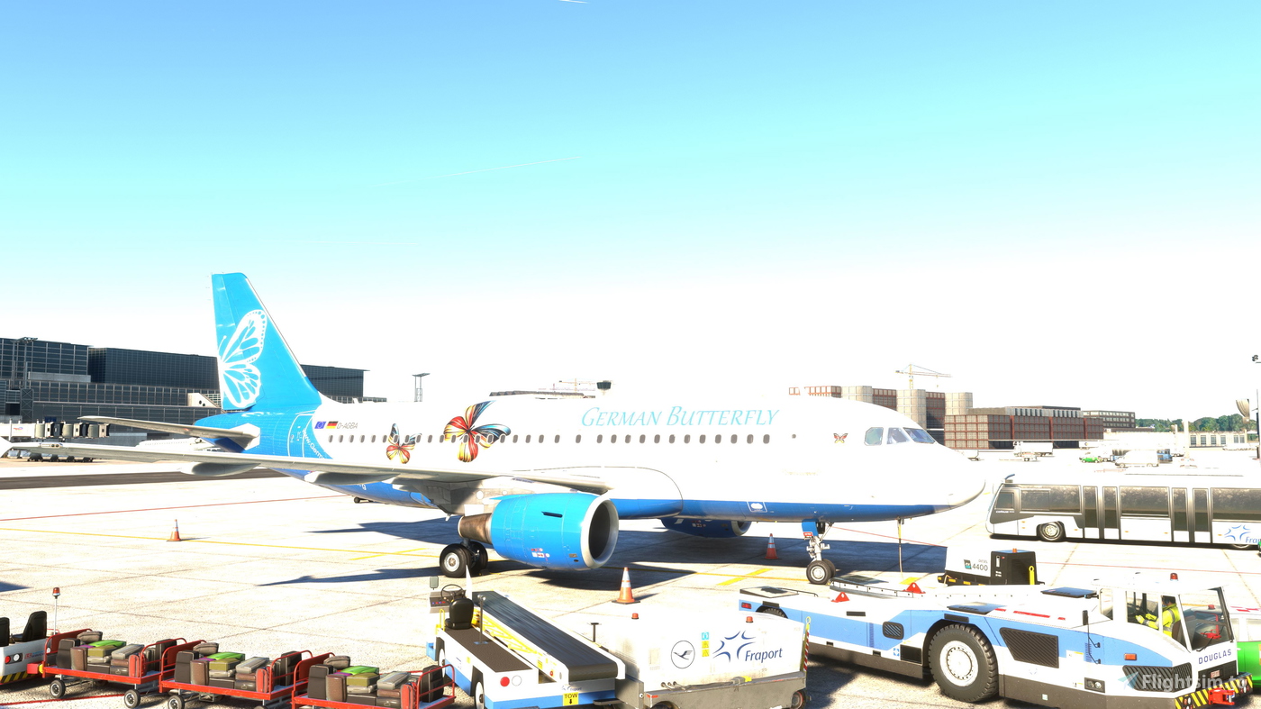 German Butterfly VA A319 CFM for Microsoft Flight Simulator | MSFS