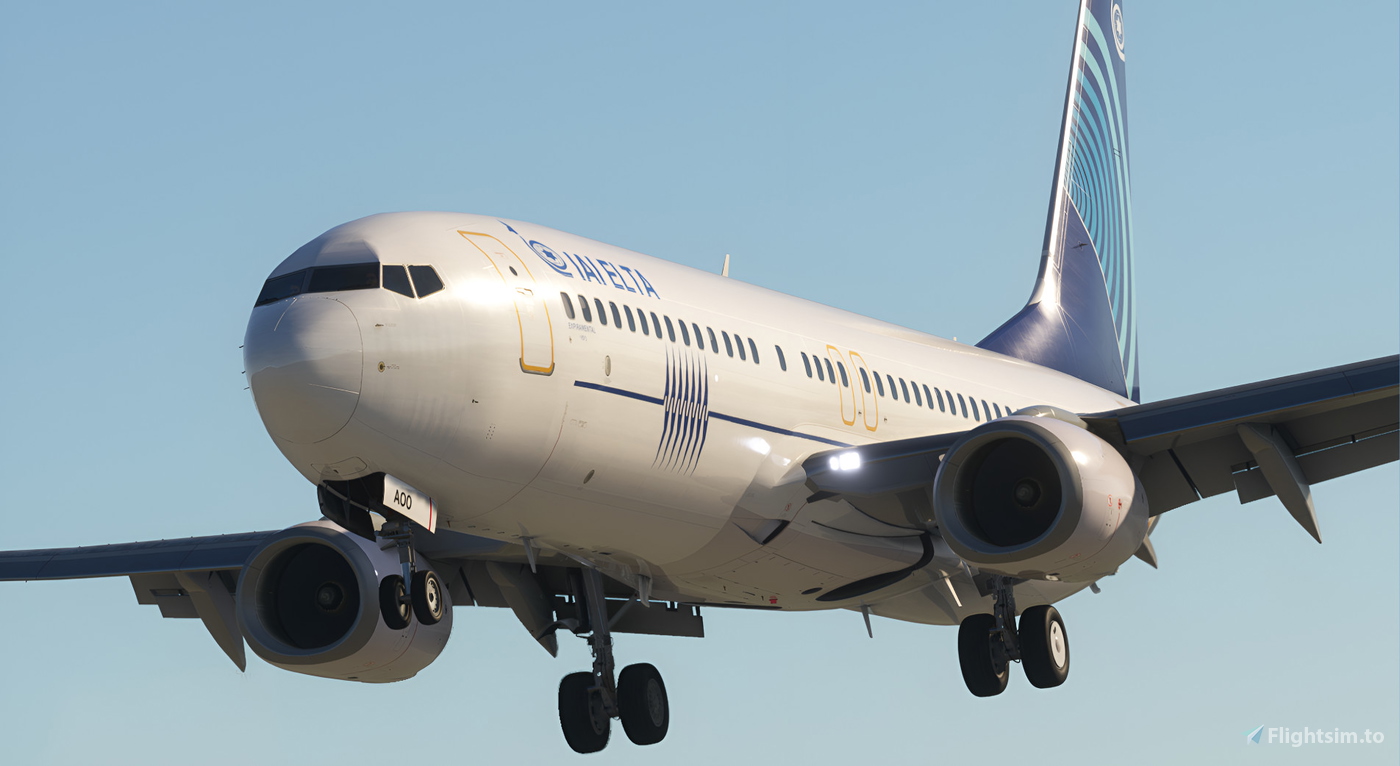 IAI ELTA B737-800 | 4k | 4X-AOO for Microsoft Flight Simulator | MSFS
