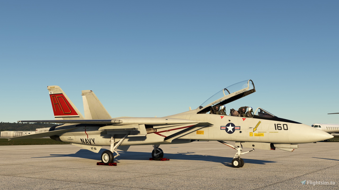 IFE/HB F-14B VF-101 AD for Microsoft Flight Simulator | MSFS