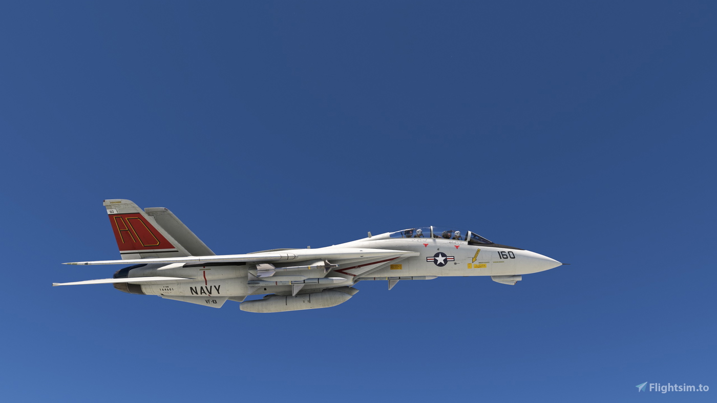 IFE/HB F-14B VF-101 AD for Microsoft Flight Simulator | MSFS