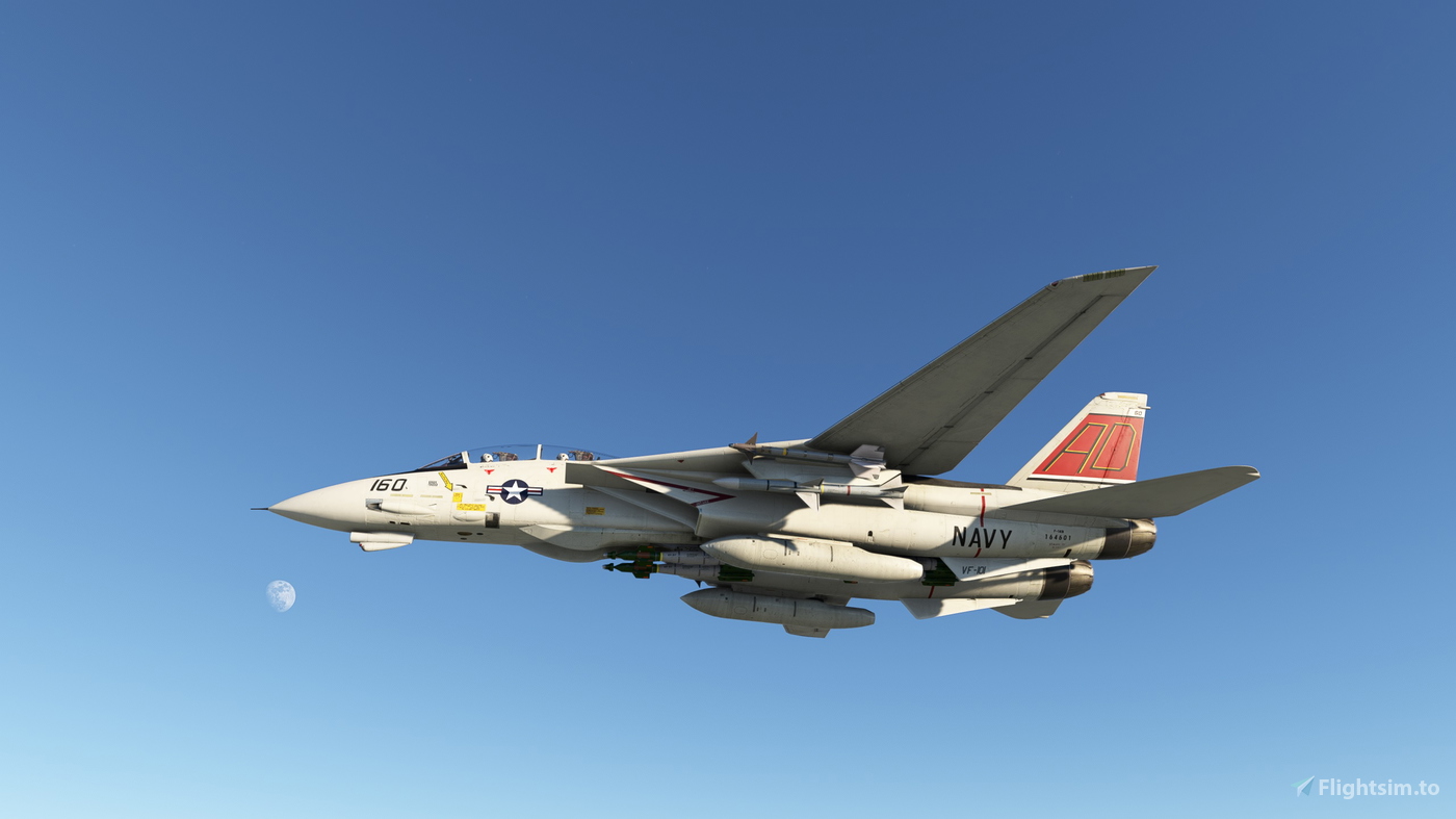 IFE/HB F-14B VF-101 AD for Microsoft Flight Simulator | MSFS