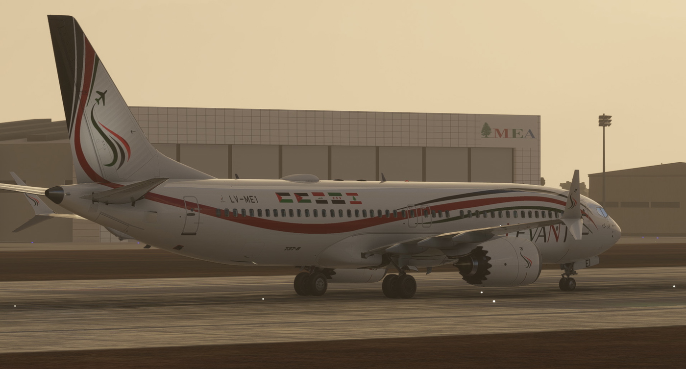 iFly B737 MAX 8 | LevantVA | LV-ME1 for Microsoft Flight Simulator | MSFS