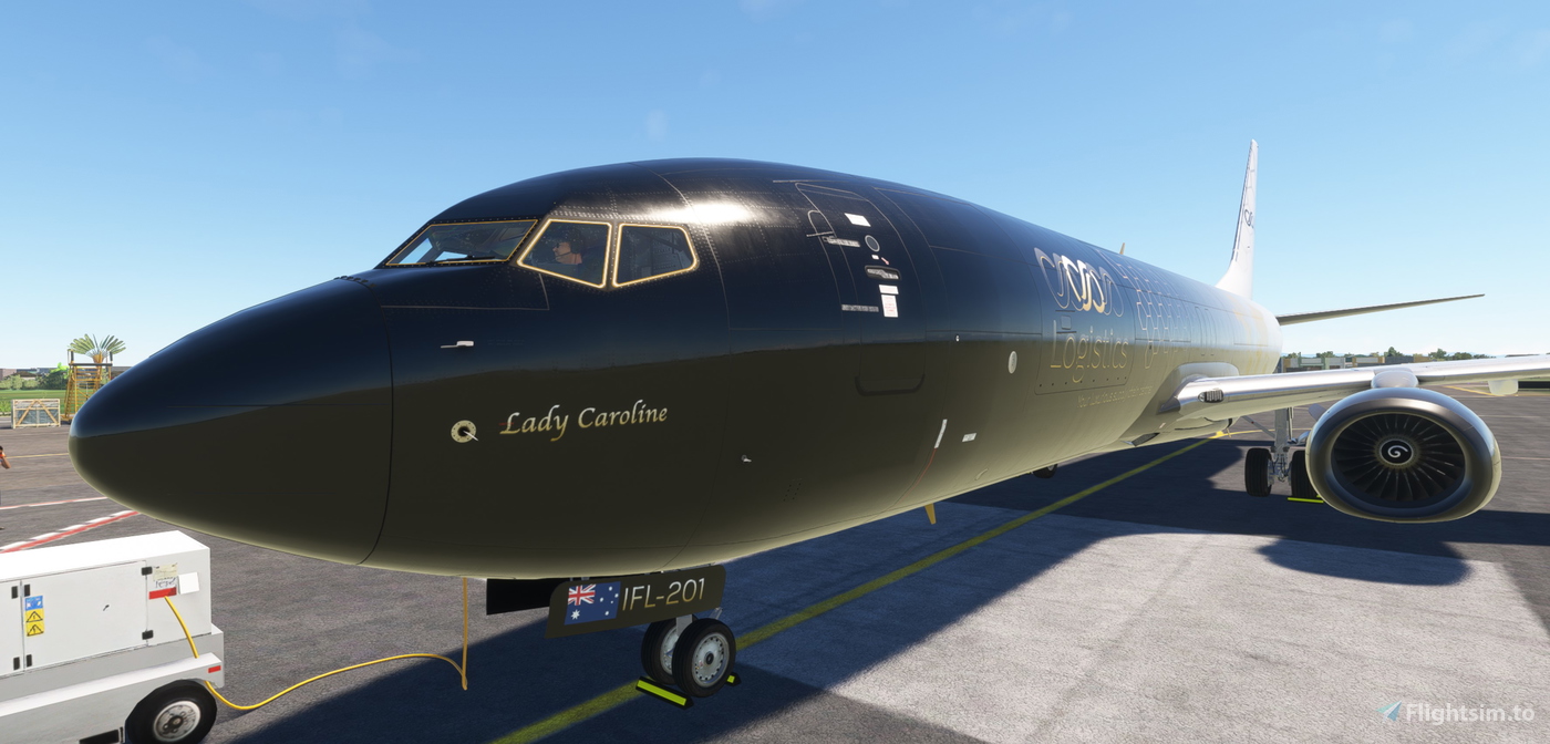 Infinity Logistics V.A - Boeing 737 - 800 B.C.F -IFL-201 for Microsoft Flight Simulator | MSFS
