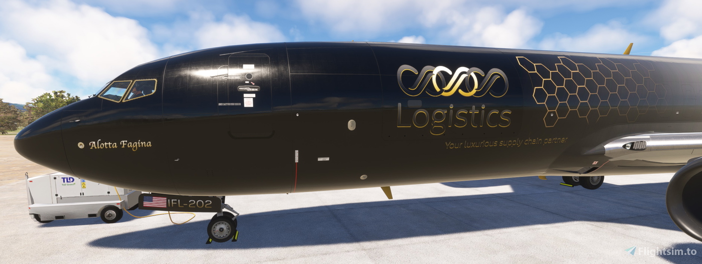 Infinity Logistics V.A - Boeing 737 - 800 B.C.F -IFL-202 for Microsoft Flight Simulator | MSFS