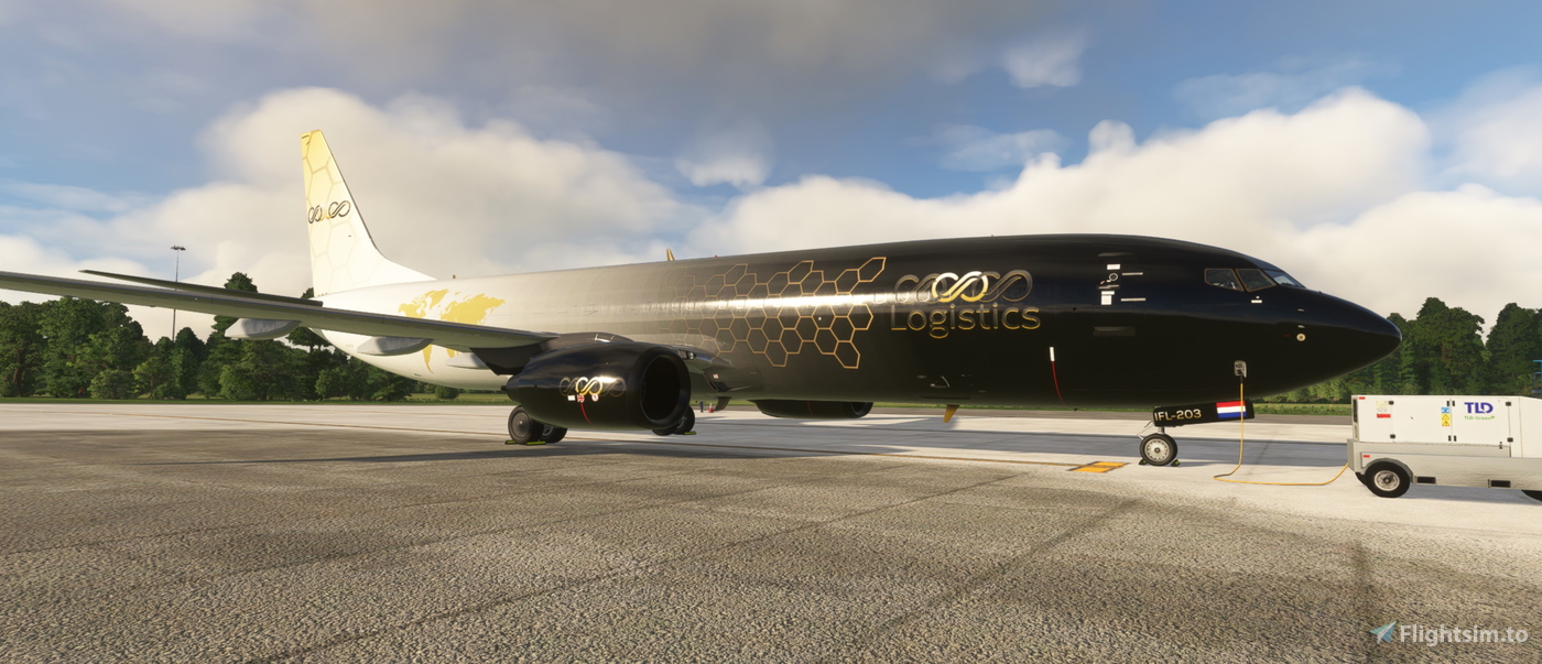 Infinity Logistics V.A - Boeing 737 - 800 B.D.S.F-IFL-203 for Microsoft Flight Simulator | MSFS