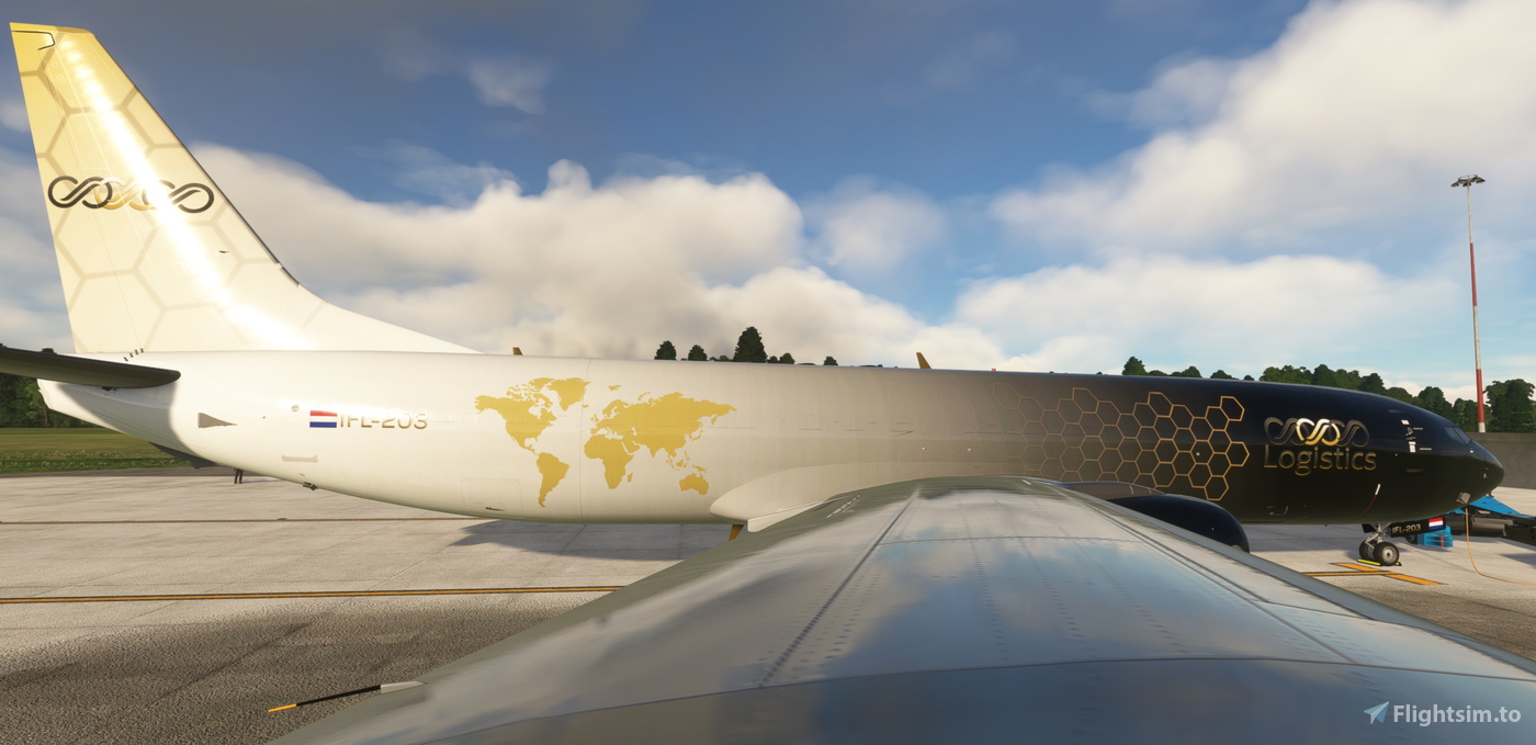 Infinity Logistics V.A - Boeing 737 - 800 B.D.S.F-IFL-203 for Microsoft Flight Simulator | MSFS