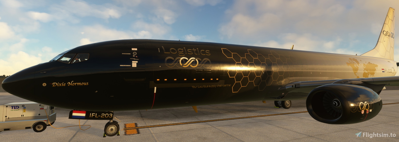 Infinity Logistics V.A - Boeing 737 - 800 B.D.S.F-IFL-203 for Microsoft Flight Simulator | MSFS