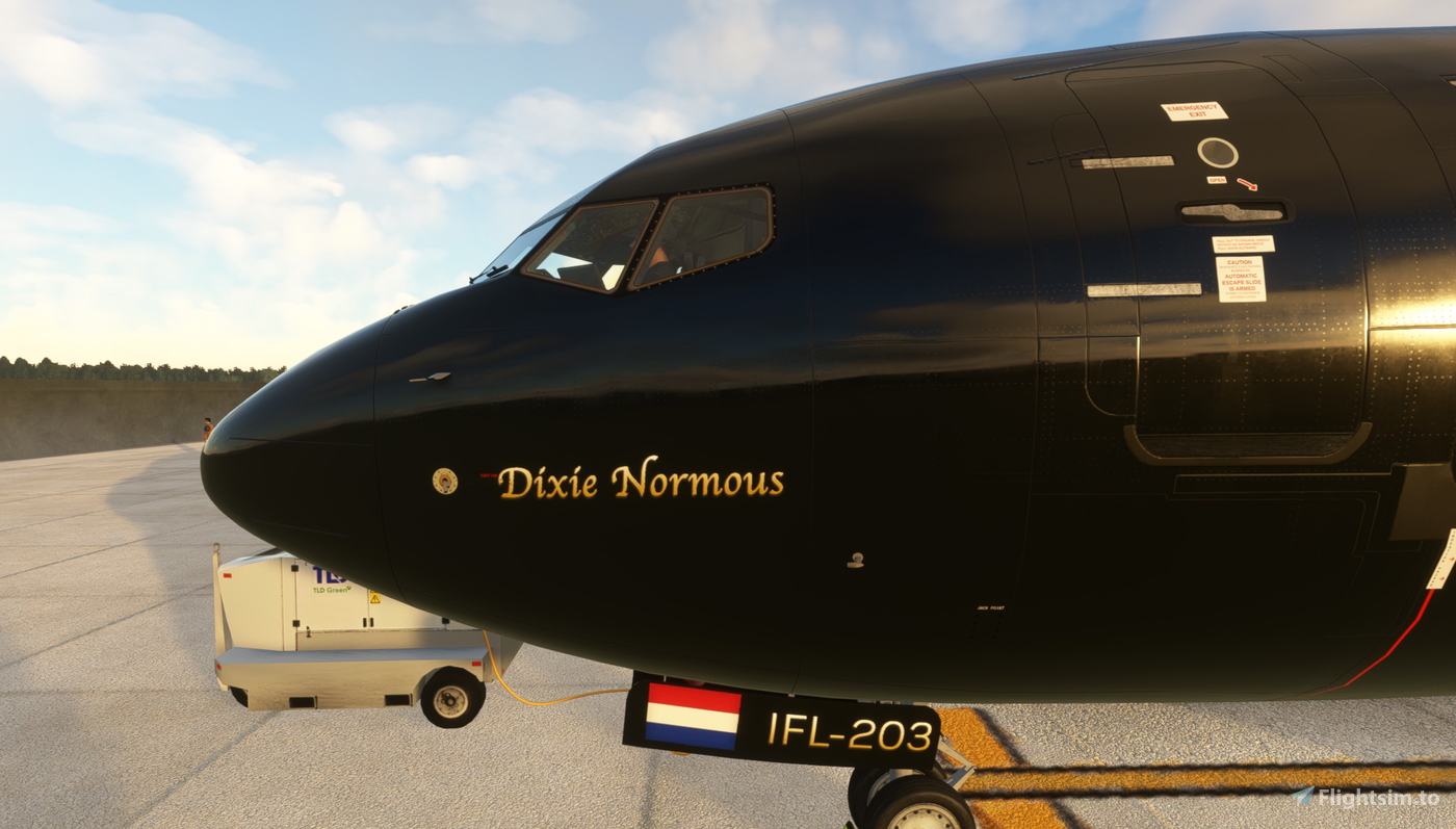 Infinity Logistics V.A - Boeing 737 - 800 B.D.S.F-IFL-203 for Microsoft Flight Simulator | MSFS