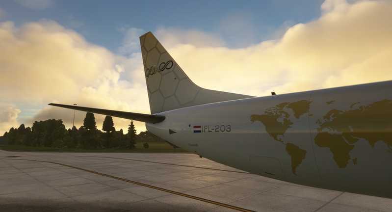 Infinity Logistics V.A - Boeing 737 - 800 B.D.S.F-IFL-203 for Microsoft ...