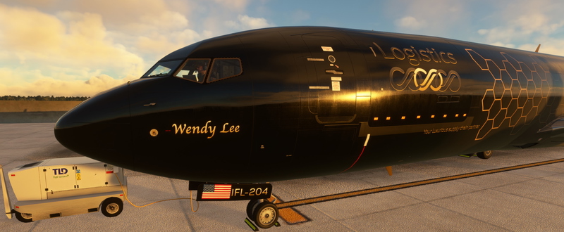 PMDG Boeing 737-800 Liveries for Microsoft Flight Simulator | MSFS