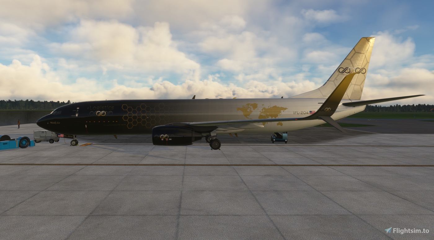 Infinity Logistics V.A - Boeing 737 - 800 B.D.S.F-IFL-204 for Microsoft Flight Simulator | MSFS