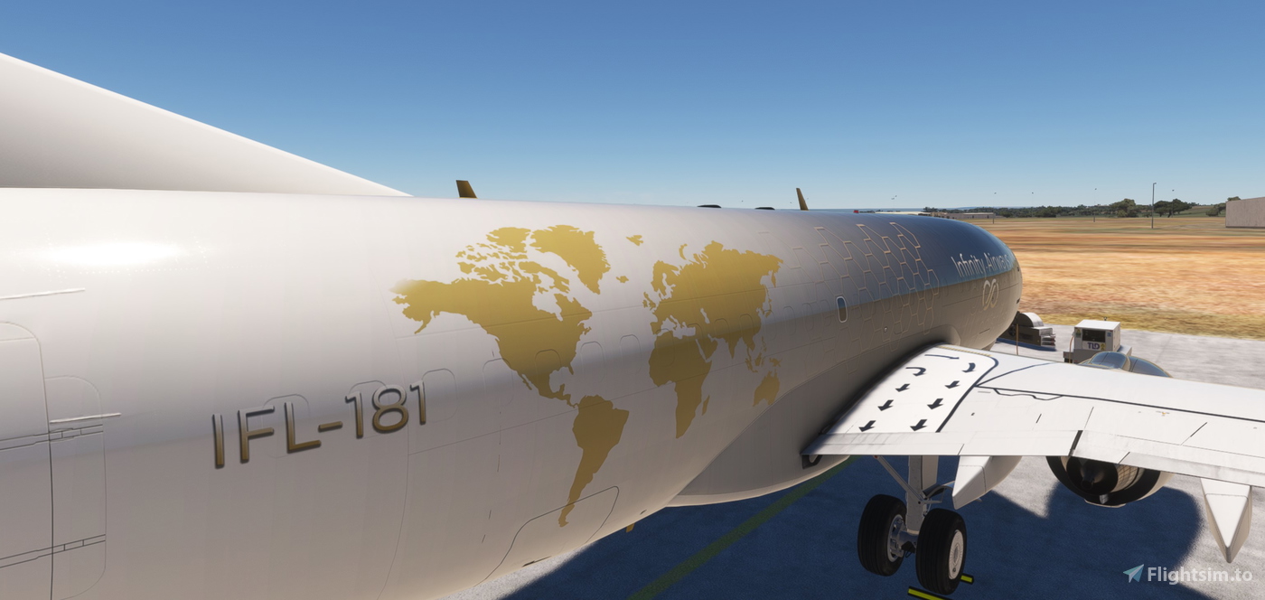 Infinity-Logistics Virtual Airline - 737-7-BDSF pour Microsoft Flight Simulator | MSFS