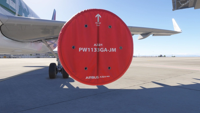 iniBuilds A321LR Frontier | Quin the Great Curassow | N656FR | 8K for ...