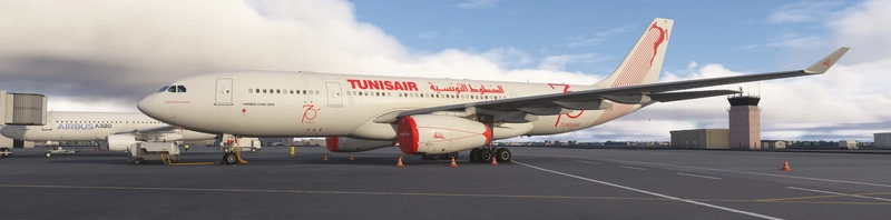 Airbus A330-200 Liveries for Microsoft Flight Simulator | MSFS