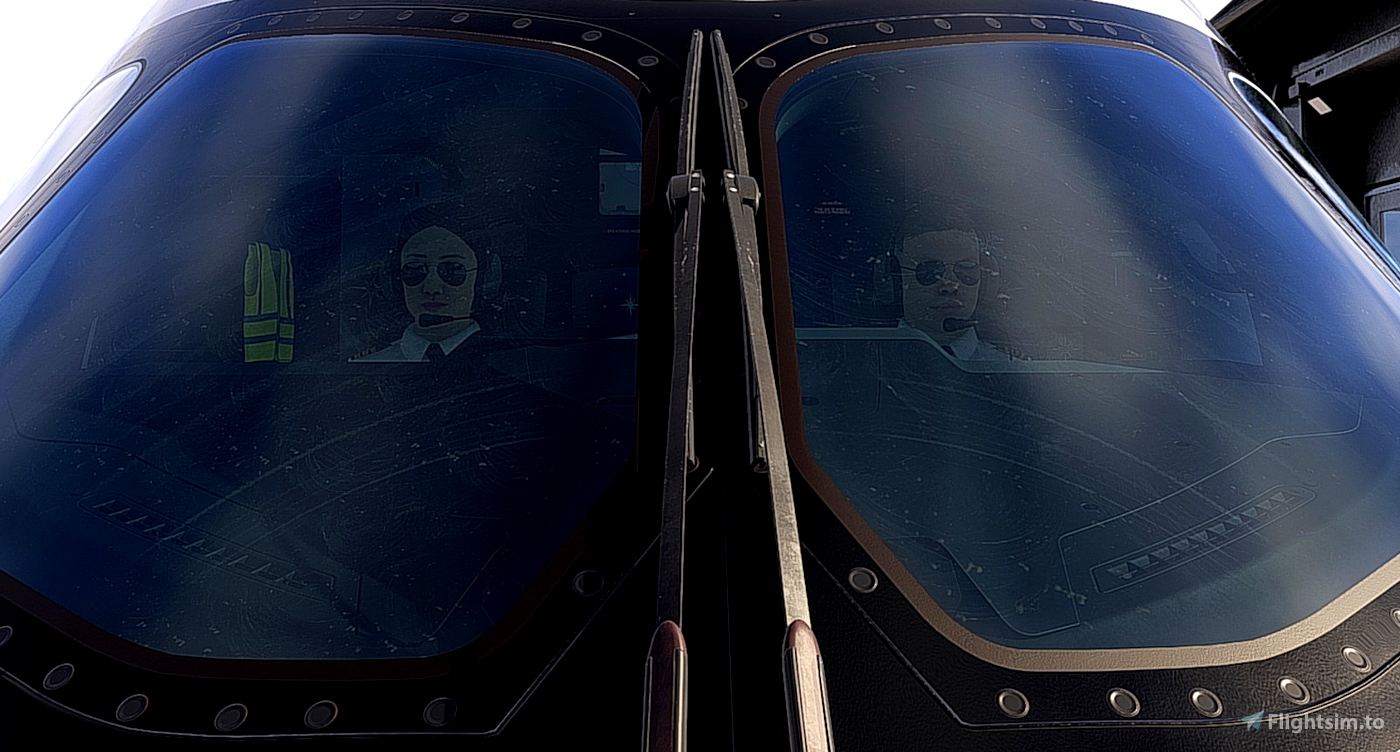 iniBuilds a359 Copilot Fix [TEMPORARY] for Microsoft Flight Simulator ...