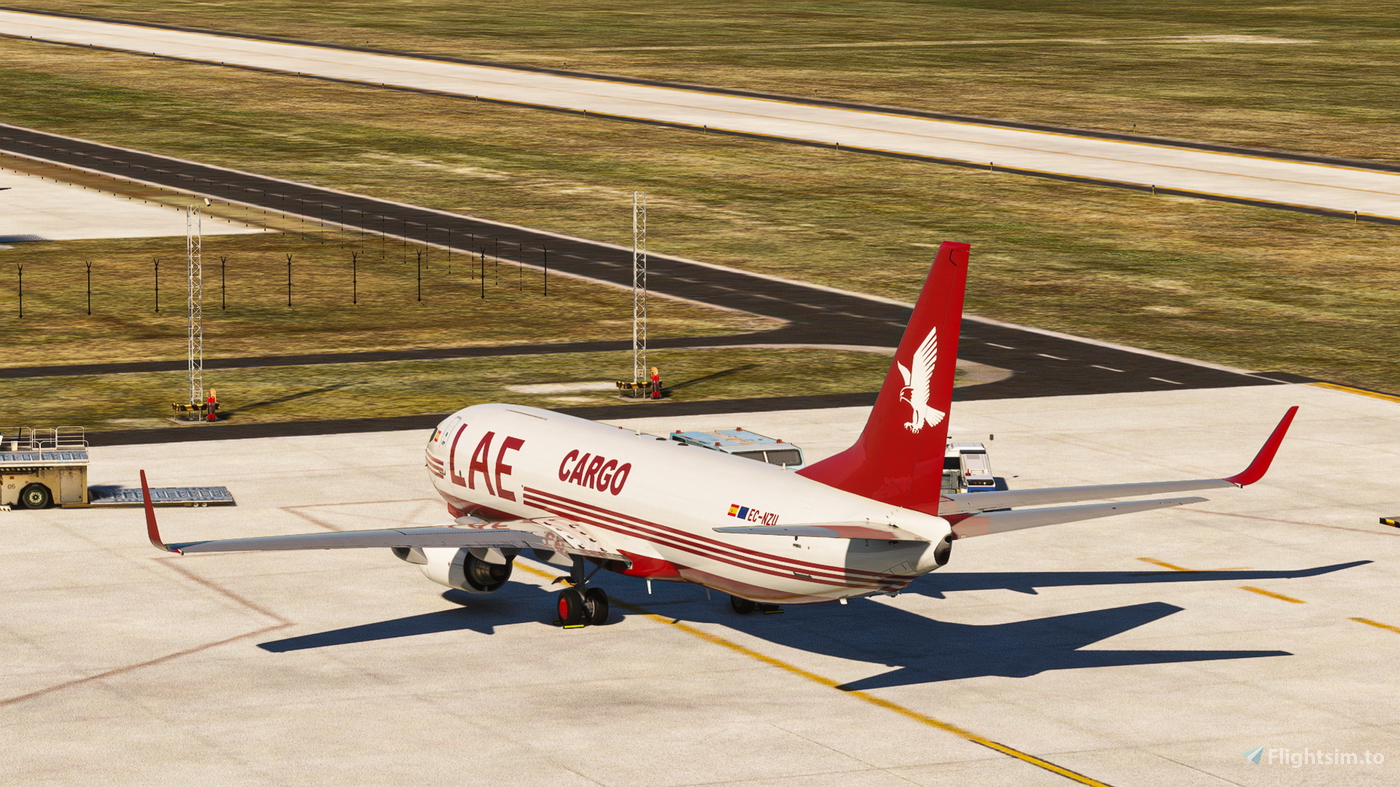 LAE B738 CARGO for Microsoft Flight Simulator | MSFS