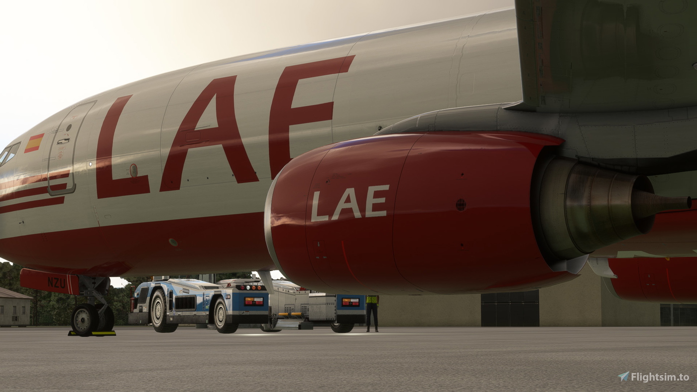 LAE B738 CARGO for Microsoft Flight Simulator | MSFS