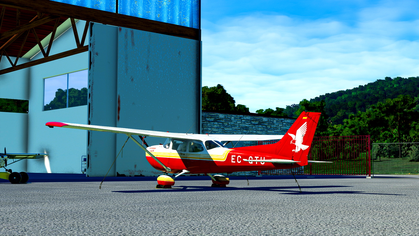 LAE C172 and variants for Microsoft Flight Simulator | Feed