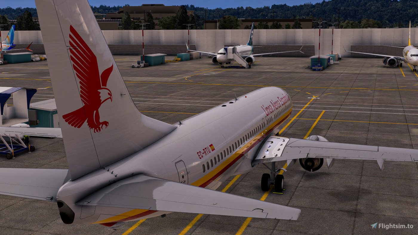 [Vintage] LAE B738 PAX for Microsoft Flight Simulator | MSFS