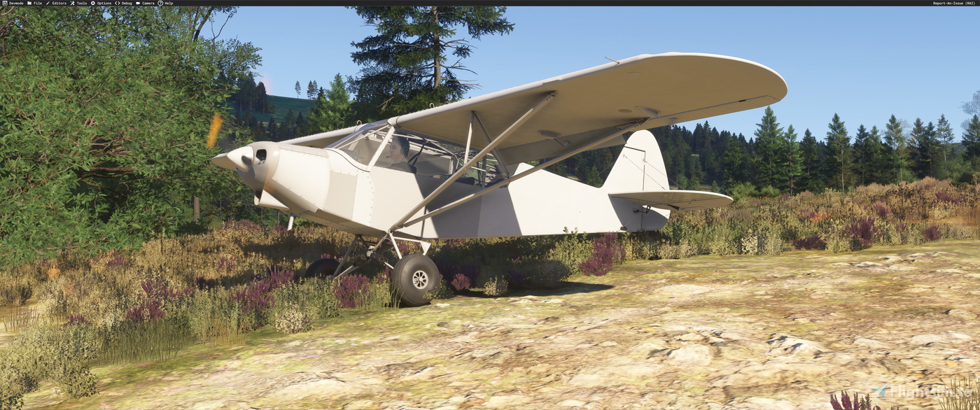 Livery Asobo Savage Cub - plain white for Microsoft Flight Simulator | MSFS