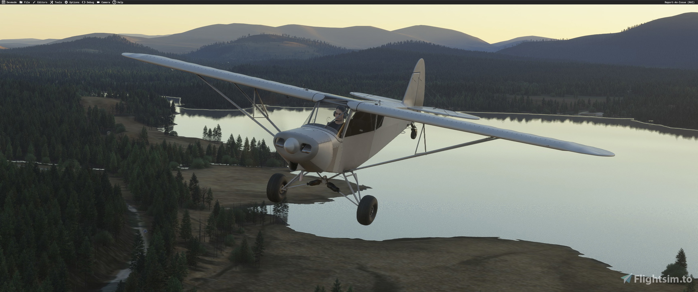 Livery Asobo Savage Cub - plain white for Microsoft Flight Simulator | MSFS