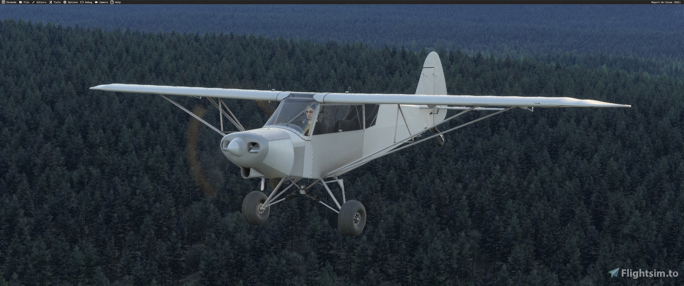 Livery Asobo Savage Cub - plain white para Microsoft Flight Simulator ...