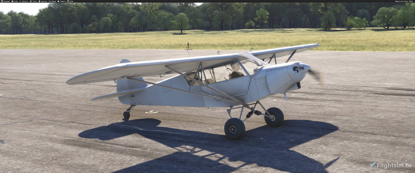 Livery Asobo Savage Cub - plain white for Microsoft Flight Simulator | MSFS