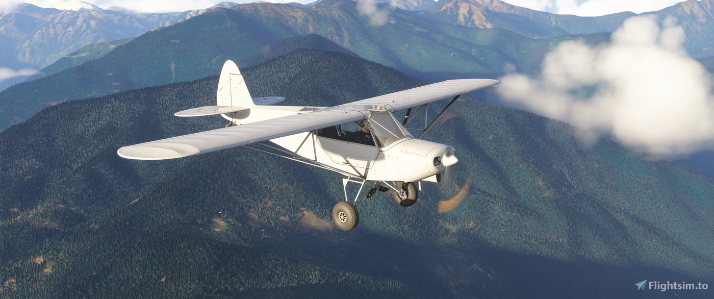 Livery Asobo Savage Cub - plain white for Microsoft Flight Simulator | MSFS