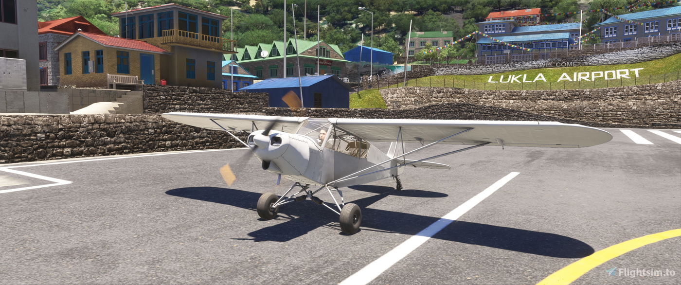 Livery Asobo Savage Cub - plain white for Microsoft Flight Simulator | MSFS
