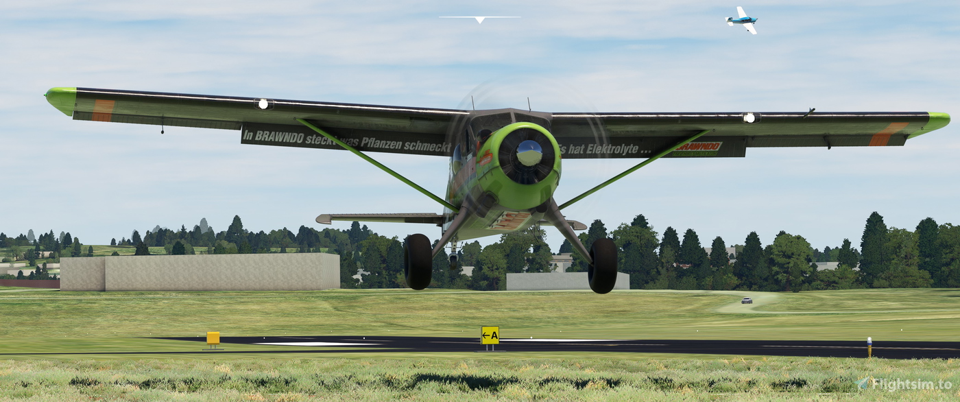 Livery DHC-2 Beaver - eSTOL #39 Steffie for Microsoft Flight Simulator | MSFS