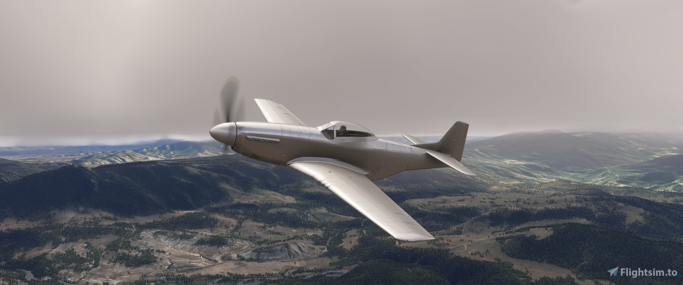 Livery P-51D Reno - Baremetal for Microsoft Flight Simulator | MSFS