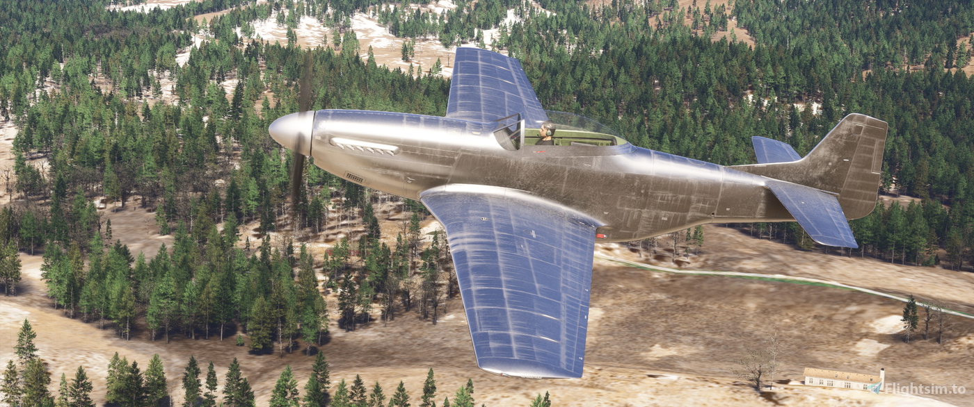 Livery P-51D Reno - Baremetal for Microsoft Flight Simulator | MSFS