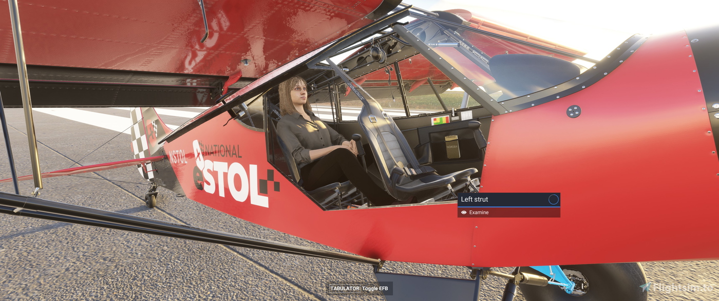 Livery Savage Norden - eSTOL (fictional, unofficial) for Microsoft Flight Simulator | MSFS