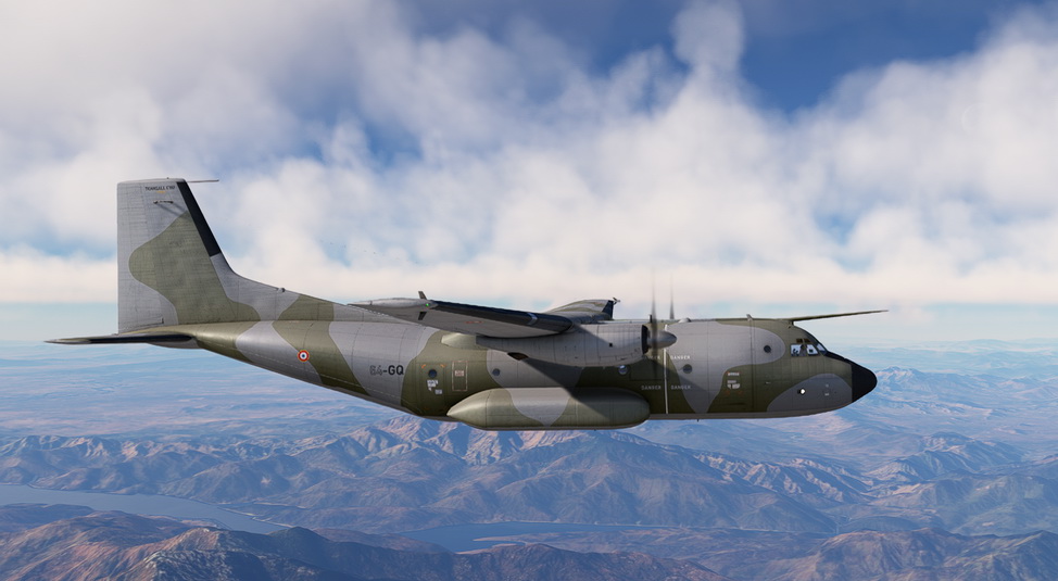 Marty_Livery_C160_64-GQ pour Microsoft Flight Simulator | MSFS