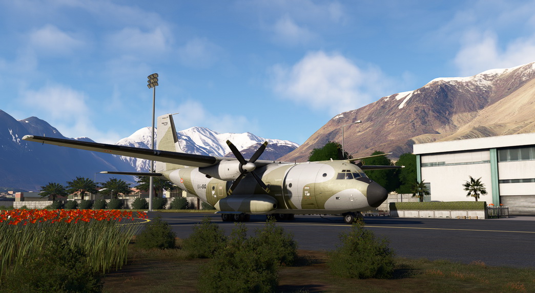 Marty_Livery_C160_64-GQ pour Microsoft Flight Simulator | MSFS