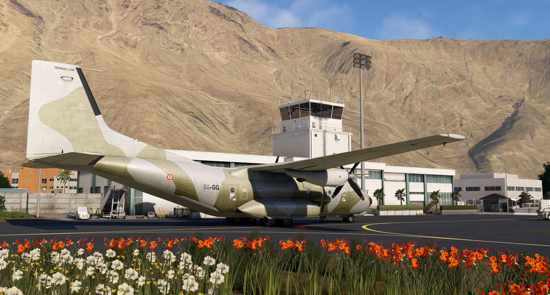 Marty_Livery_C160_64-GQ pour Microsoft Flight Simulator | MSFS