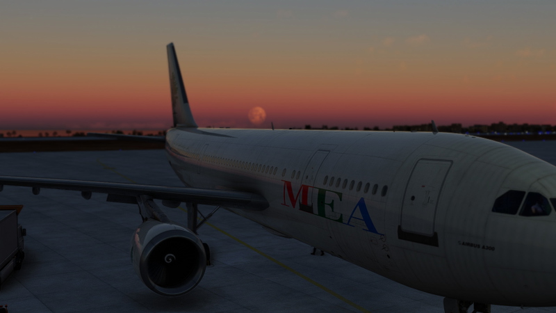iniBuilds Airbus A300 Liveries のために Microsoft Flight Simulator | MSFS