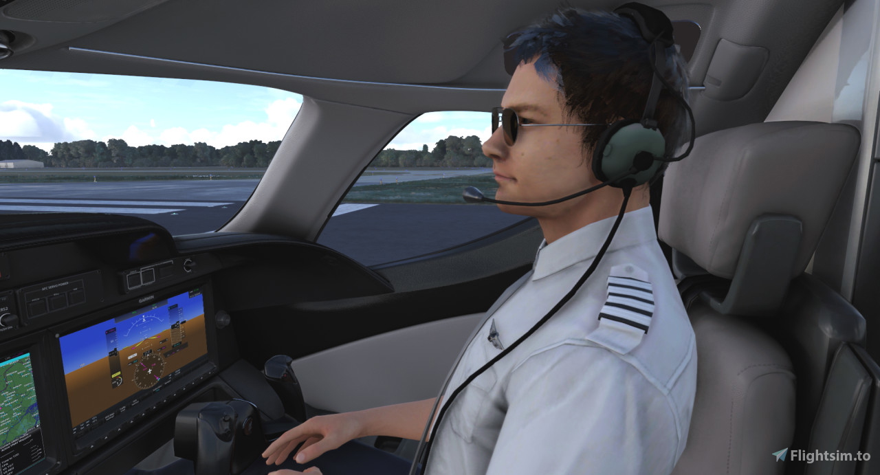 [MG HJET HA420]Mod to add co-pilot avatar to VC for Microsoft Flight ...