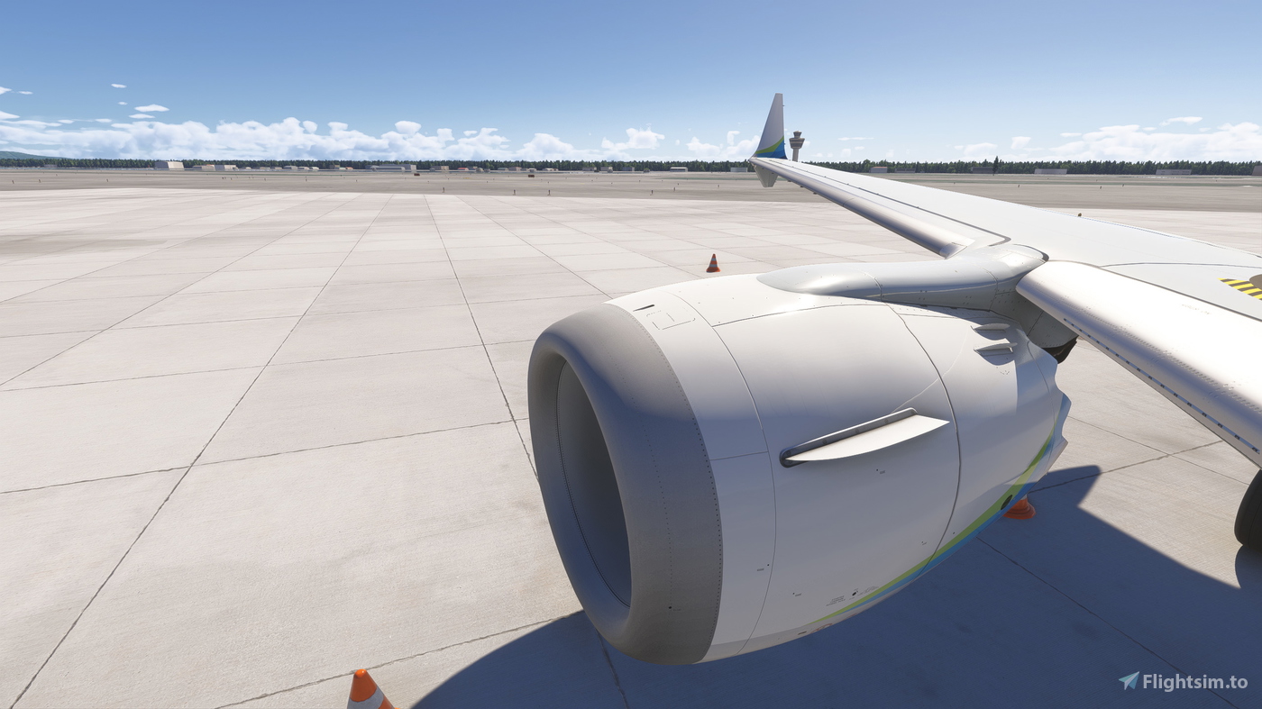 Modified Camera Views IFLY B737 MAX8 对于 Microsoft Flight Simulator | MSFS