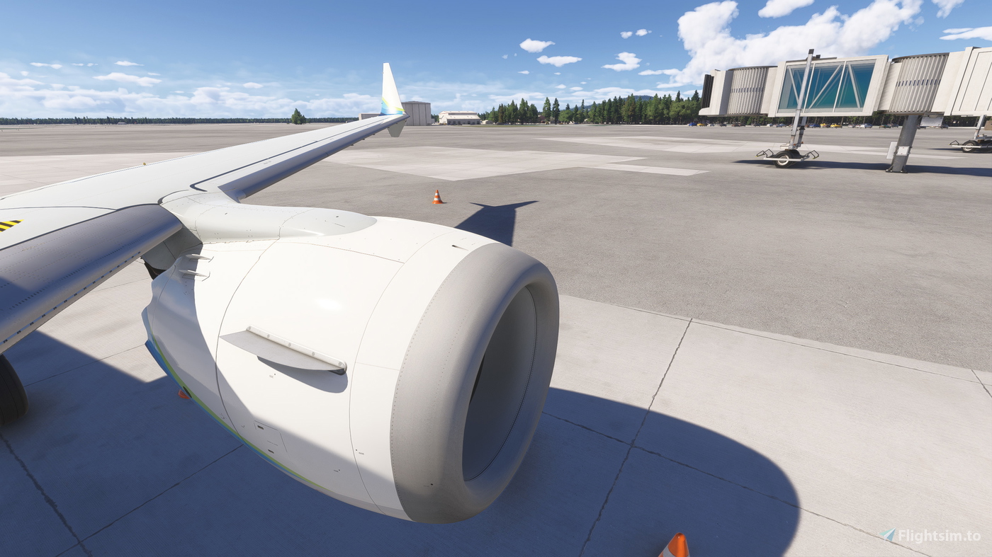 Modified Camera Views IFLY B737 MAX8 对于 Microsoft Flight Simulator | MSFS