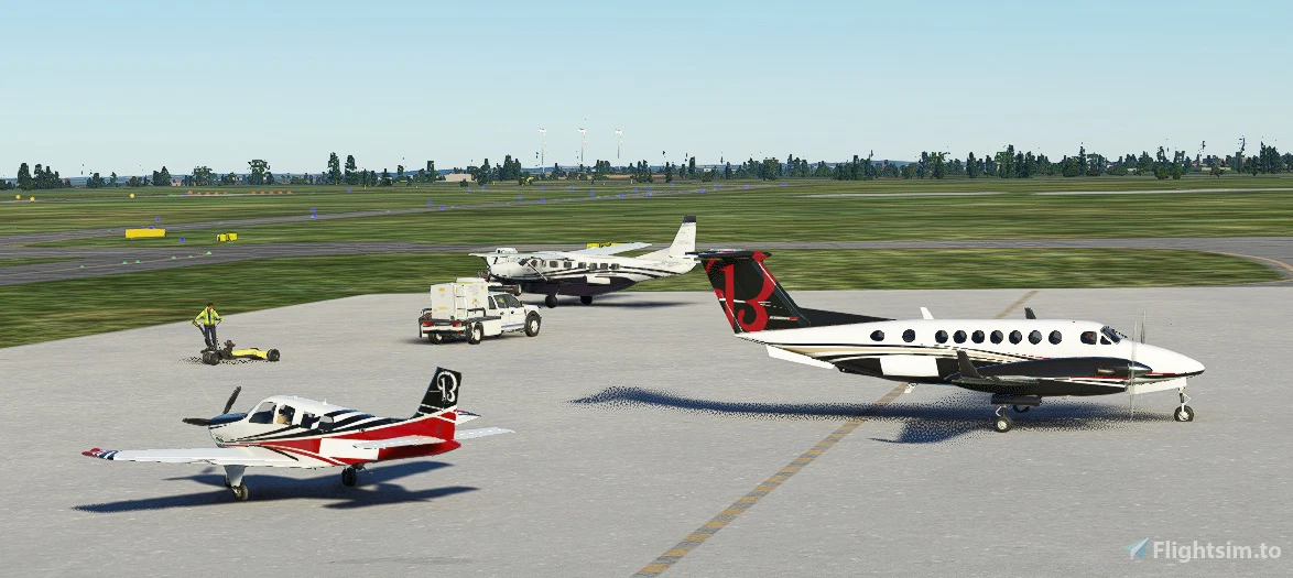 Natural GA activity for Microsoft Flight Simulator | MSFS